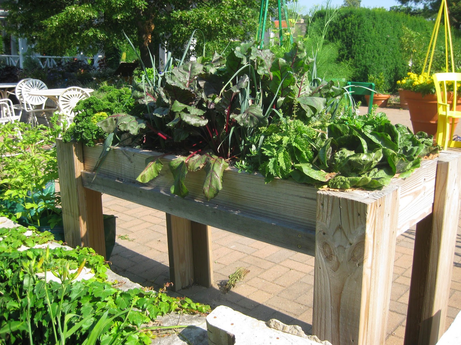 Rotary Botanical Gardens - Hort Blog: No-Stoop Gardening Opportunities