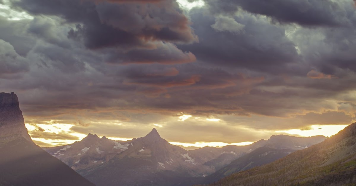 The cursed wallpaper crashing Android phones, finally explained | How ...