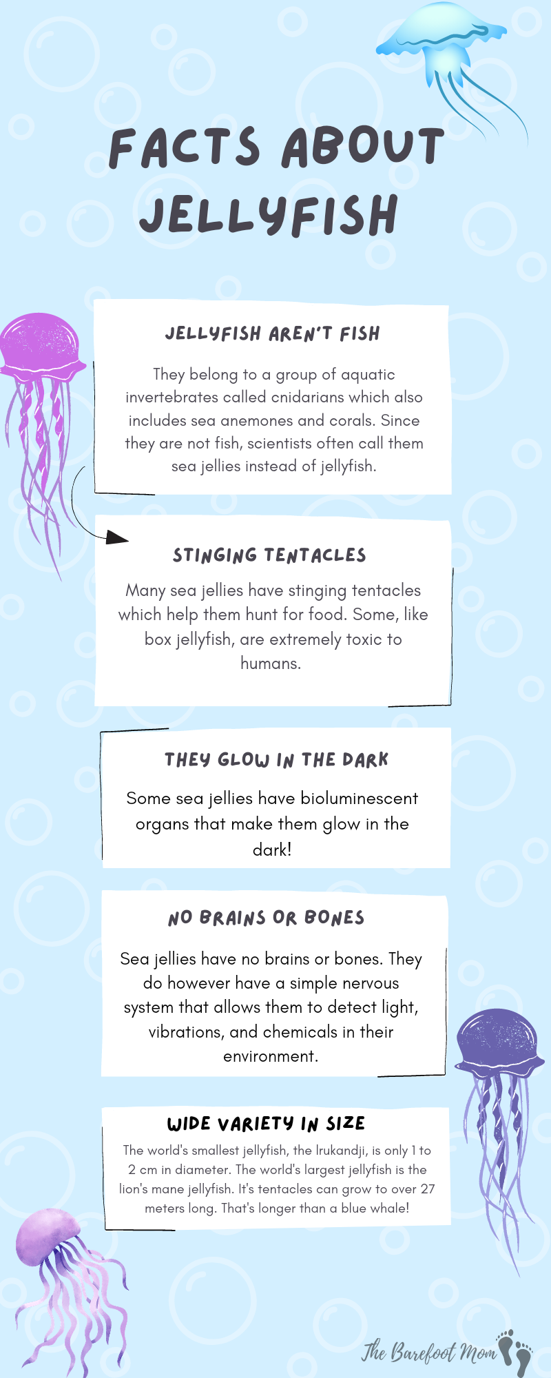 Activities and Resources for Learning About Jellyfish