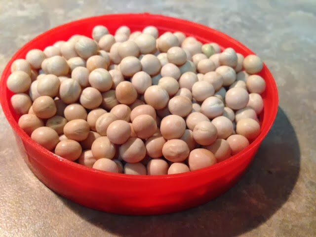 Sarita's Kitchen Blog: Batani (vatana) curry(white dried peas)
