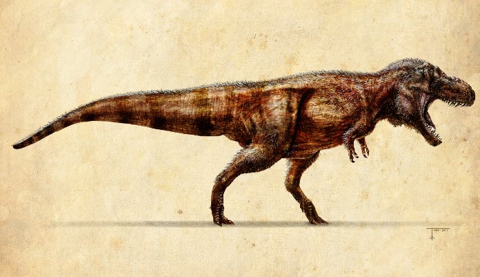 Consultoría Turística Poniente: Steve Brusatte, el Auge y caída de los ...