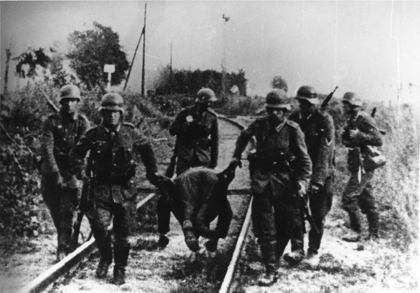 Brushes and Bayonets...: 01- 07.IX.1939 The Battle of Westerplatte (Gdansk)