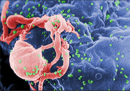 Mitos del VIH/SIDA: 16 Mitos del VIH/SIDA