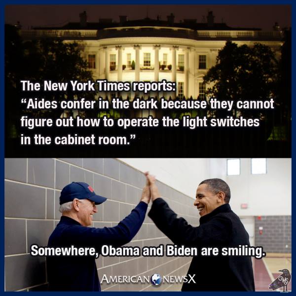 YELLOWDOG GRANNY: survived another week..how many more can we survive?