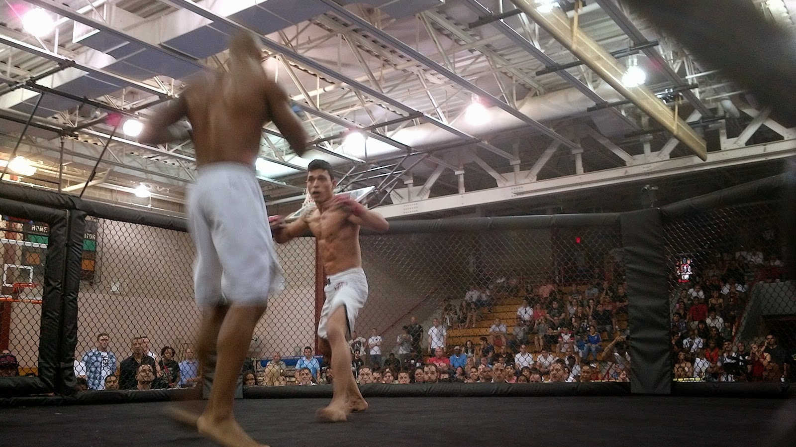 The MMA Journalist: Flashback: Golden MMA Championships - 6.15.13