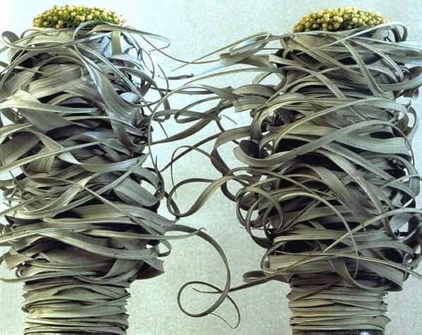 Contemporary Basketry: Daniel Ost