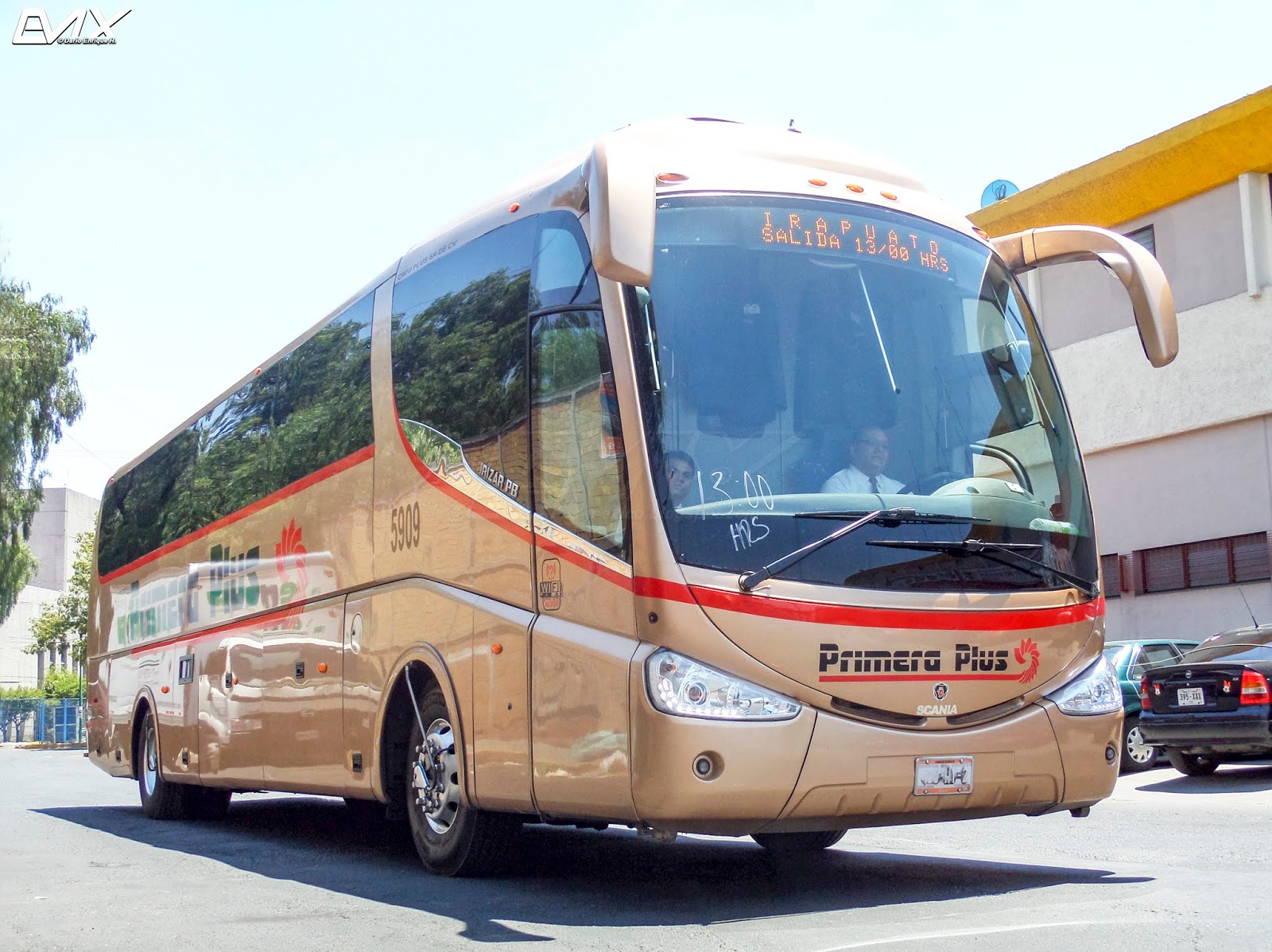 Primera Plus - Bus-México