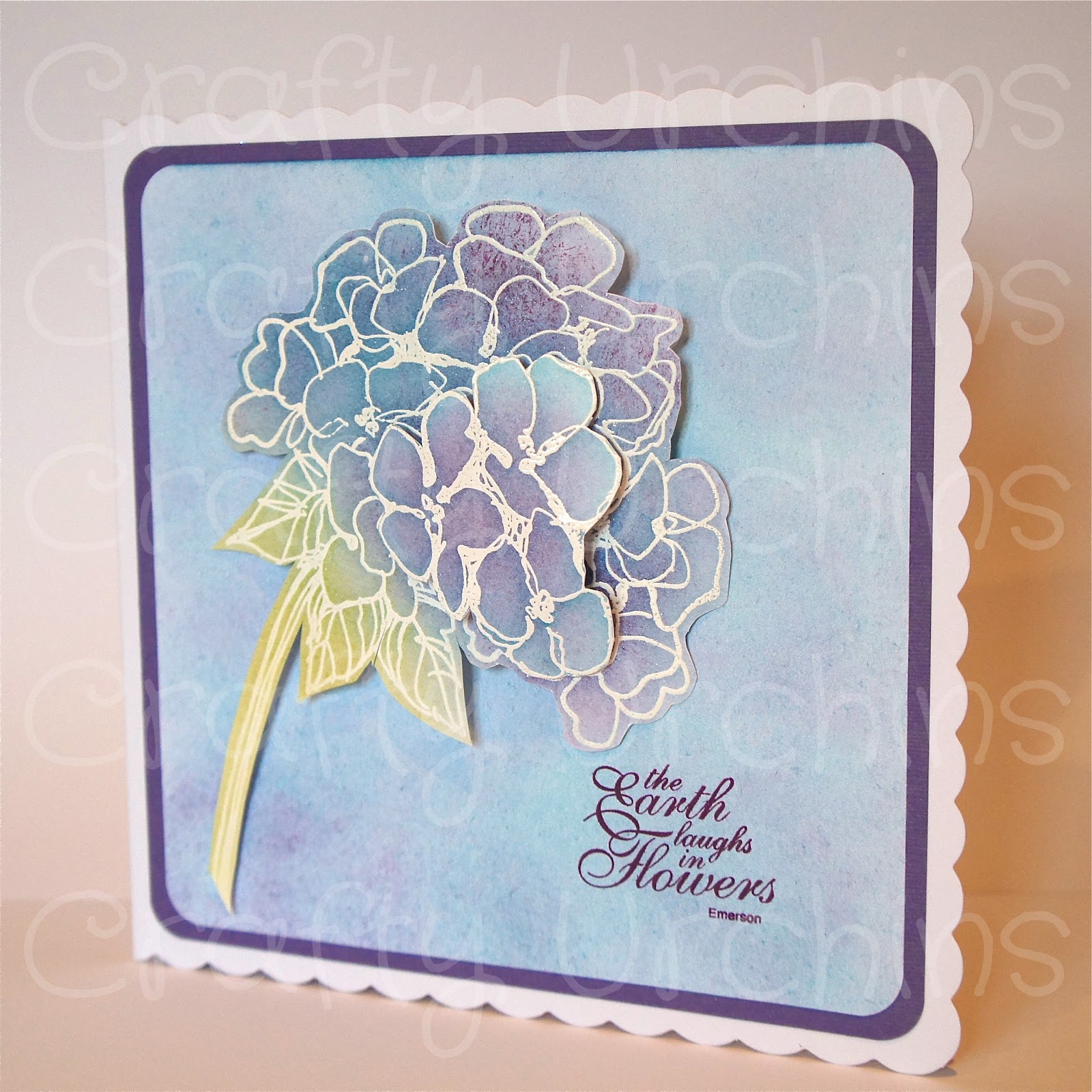 Crafty Urchins: Jumbo Stampendous Hydrangea Stamp