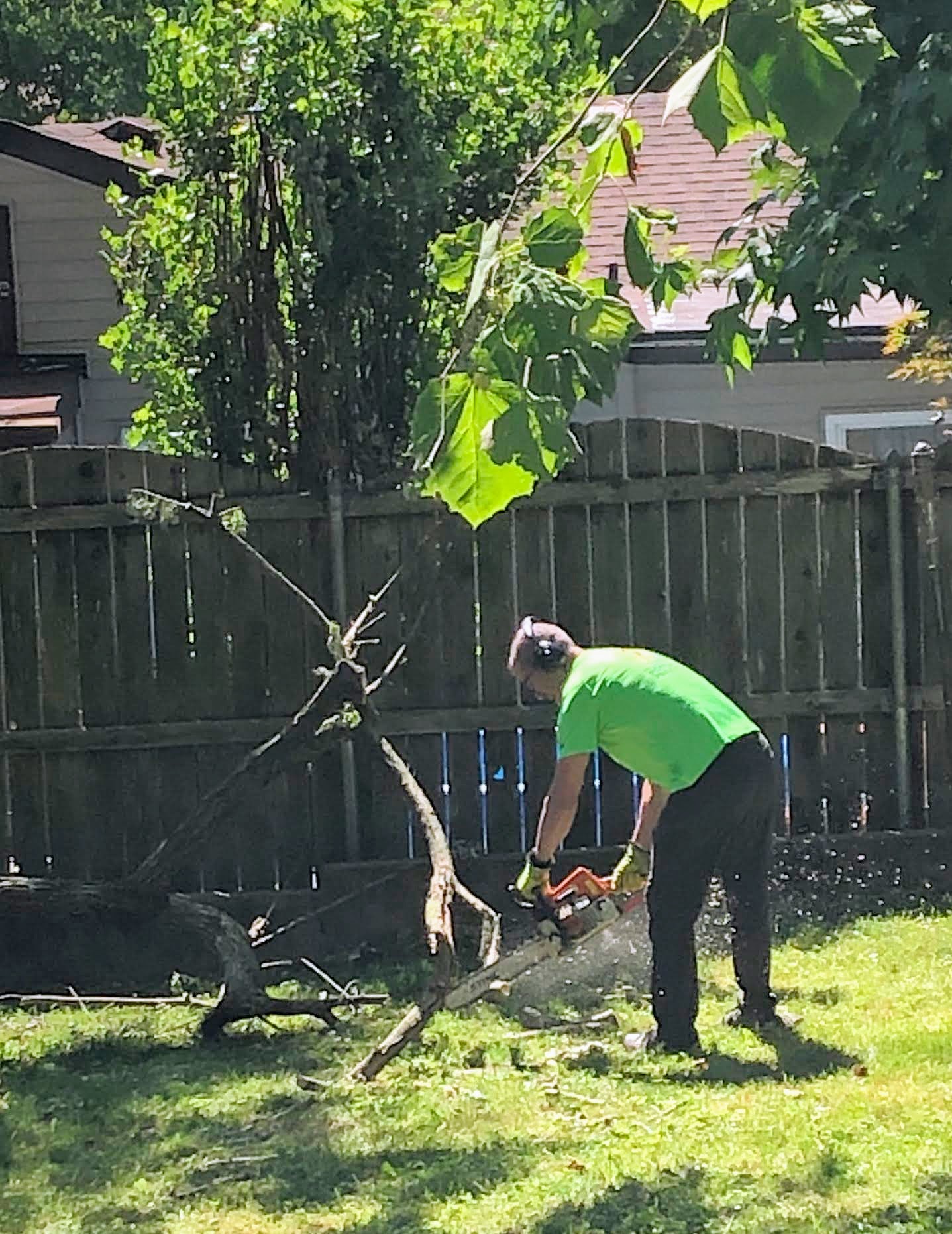 Pedal Brake Pedal: Don't Let the Tree Beat You