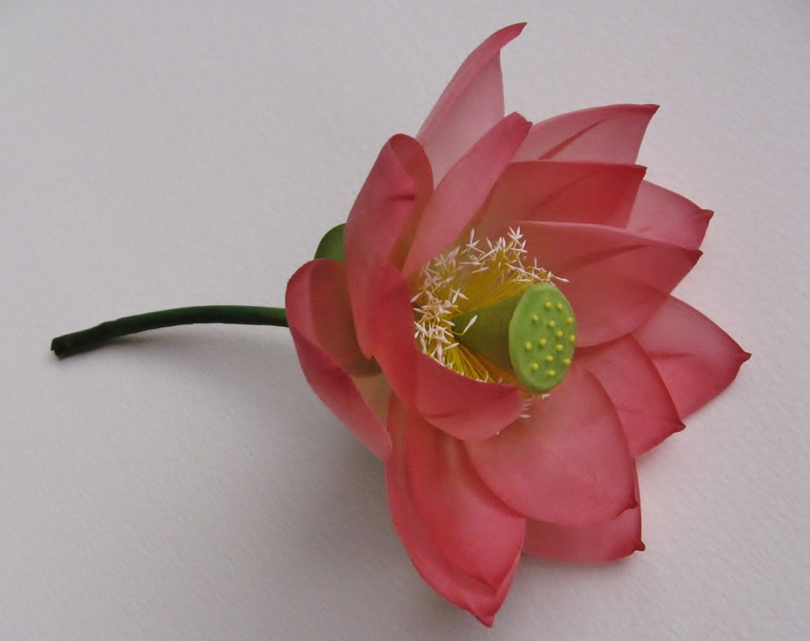 Present Perfect Creations: Free flower how-tos & tutorials