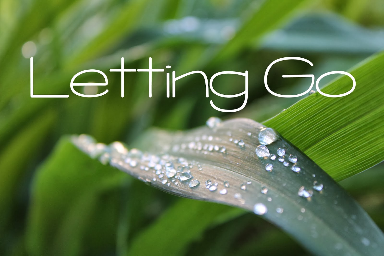The Bees’ RV: Letting Go