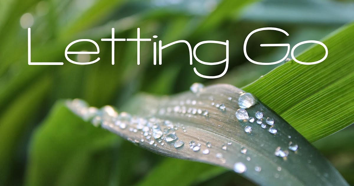 The Bees’ RV: Letting Go