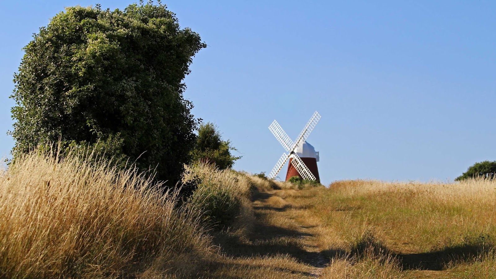 sconzani: Halnaker Windmill