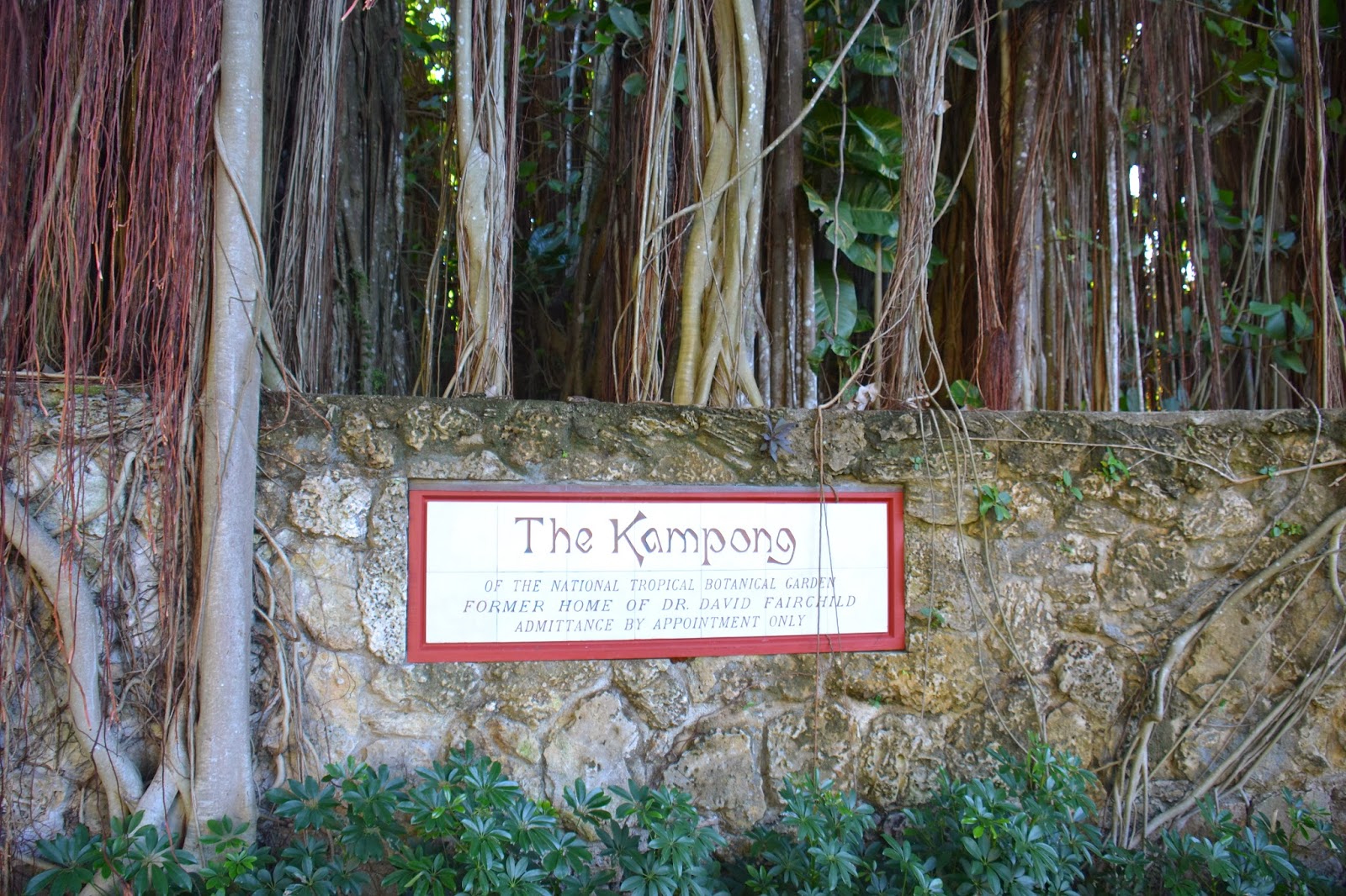 DragonFly Garden: Miami’s Kampong Tropical Garden