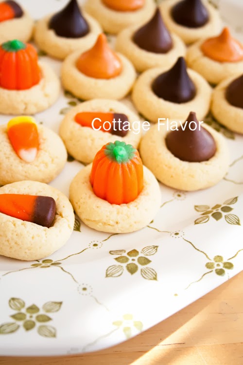 Autumn Sugar Cookies