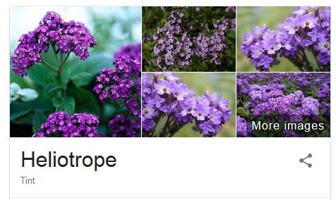 Sweet Romance Reads: Victorian Fashion: New Colors