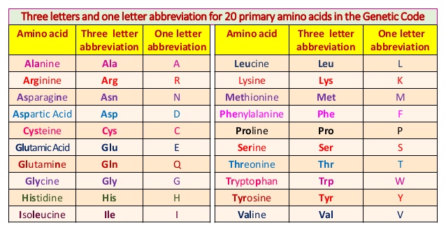 Amino Acid One Letter Code ~ Thankyou Letter