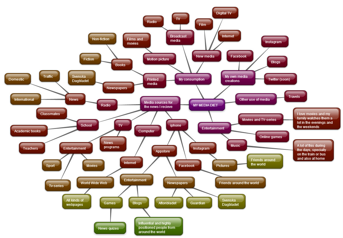 Media Literacy Amanda Olsson : Blog Assignment #1 - My Media Diet