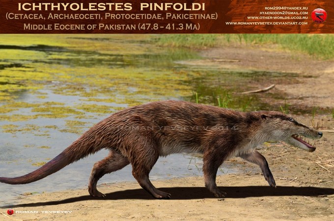 Escenarios prehistóricos: 12/06/11