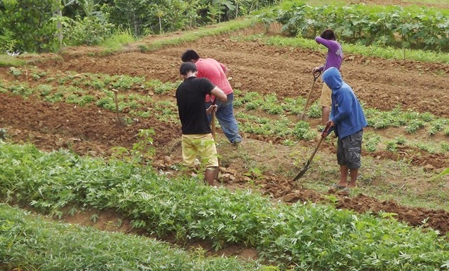 mybeautifulILOILO: Hidden Adventures in Tubungan