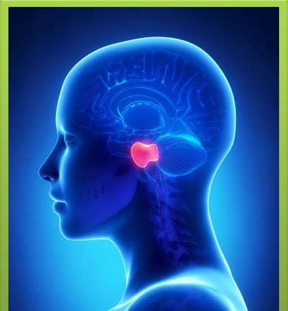 Protuberancia Anular ~ Biopsicosalud