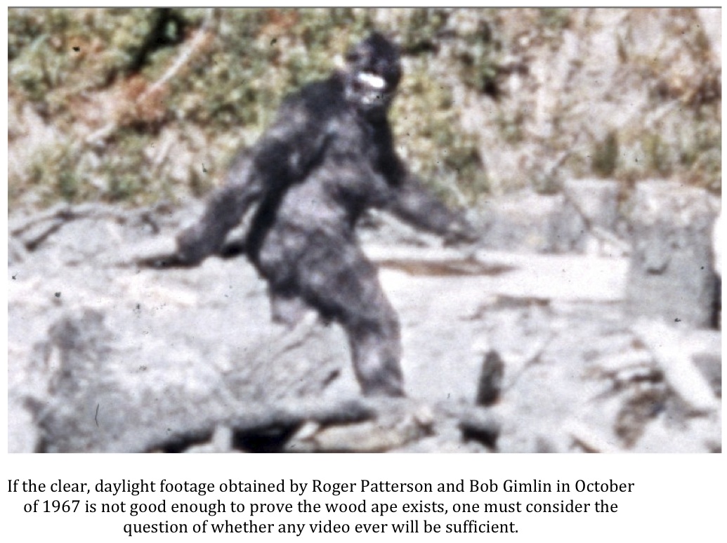 Texas Cryptid Hunter: Is the Collection of a Wood Ape Specimen Necessary?