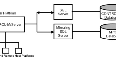 Mirror Database ~ Learn BMC Control-M - by Mahendra Vakati