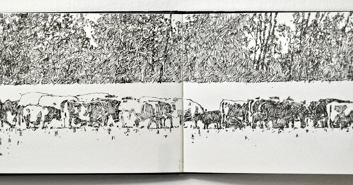Ian Sidaway Fine Line: Cattle