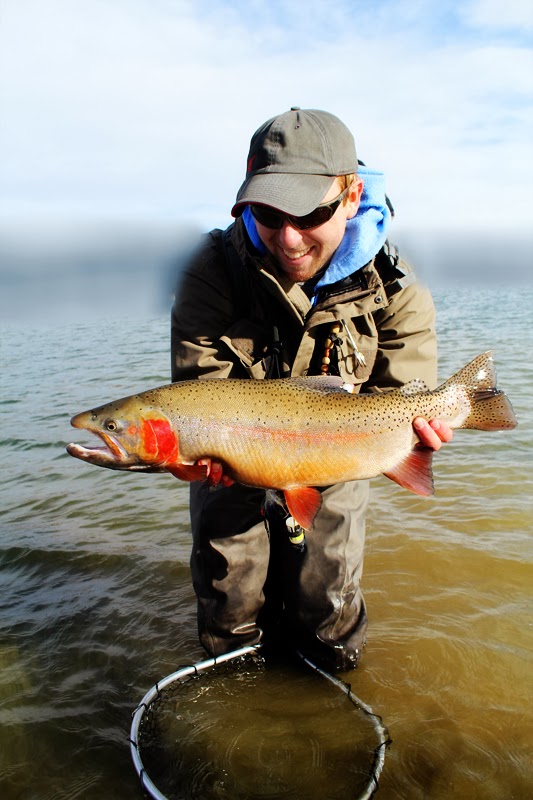 Living Fly Legacy: Tips and Tactics: Fly Fishing Balloon Indicator ...