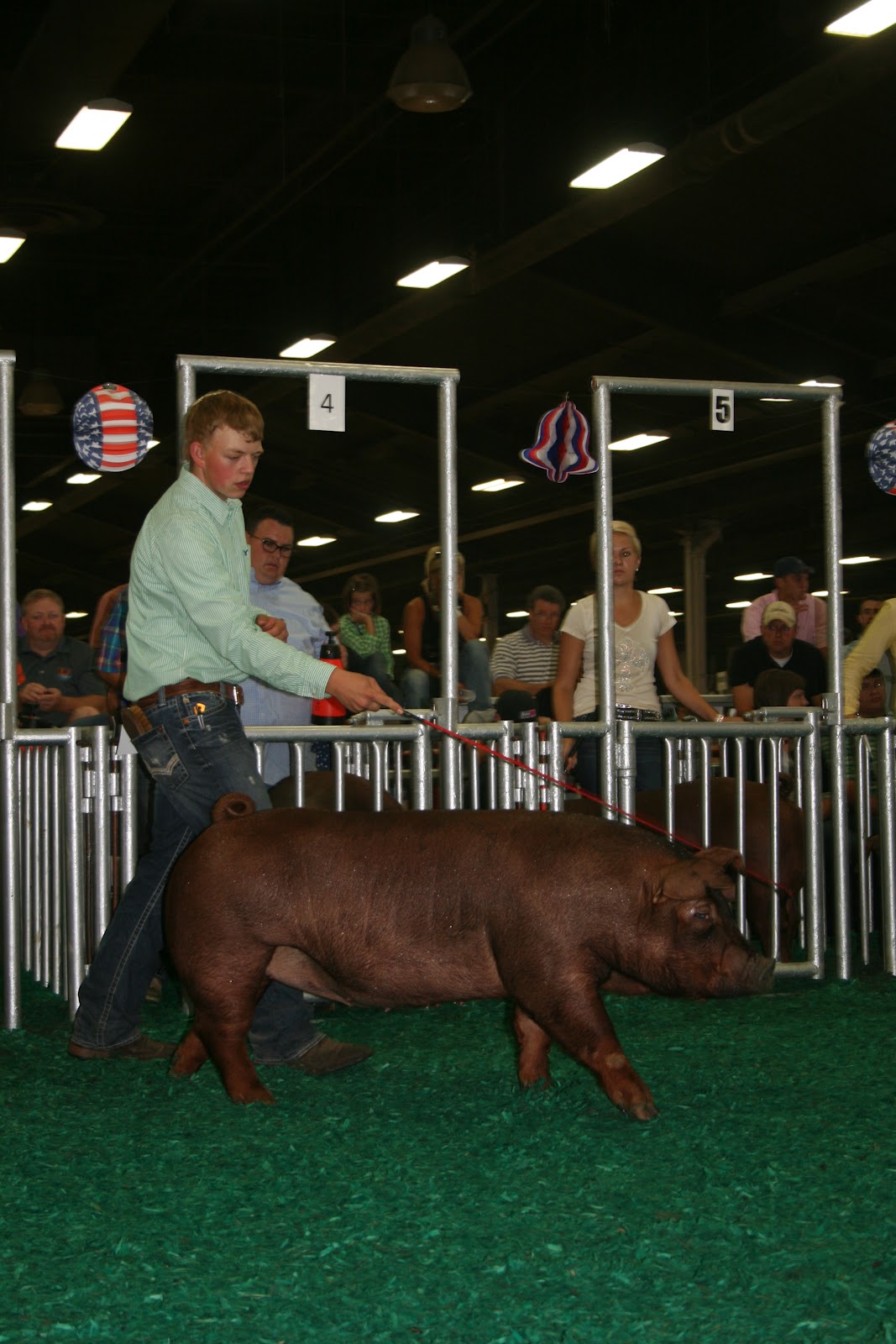 NSR Show & Sale Results: NSR Summer Spectacular Junior Duroc Gilt Show ...