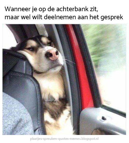 Plaatjes met grappige quotes en afbeeldingen met mooie spreuken om te ...