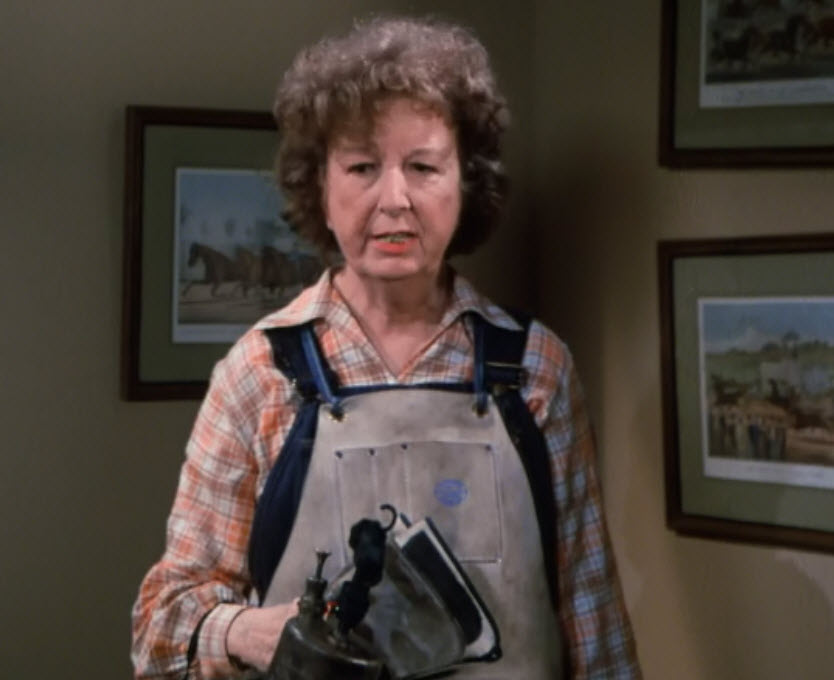 The Retro Rocket: Waltons 9.21: “The Hostage”