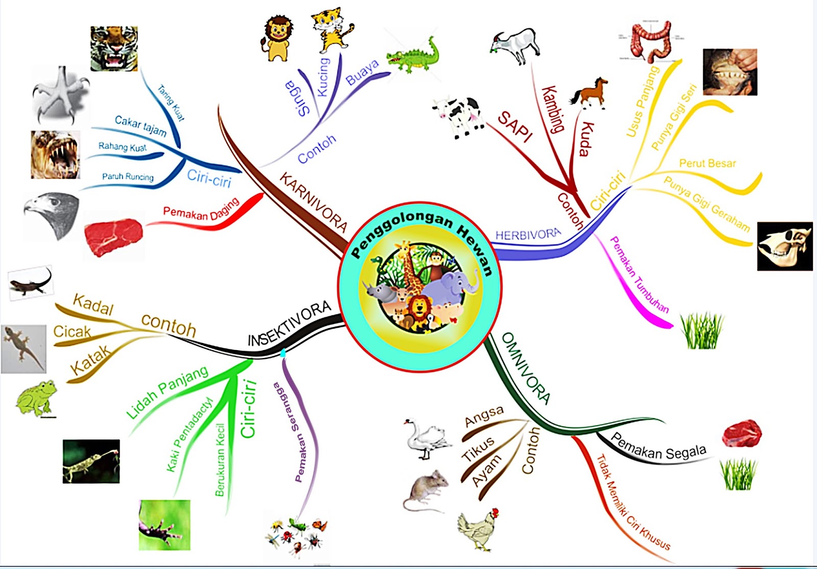 Mind Map Jaringan Hewan - Perumperindo.co.id