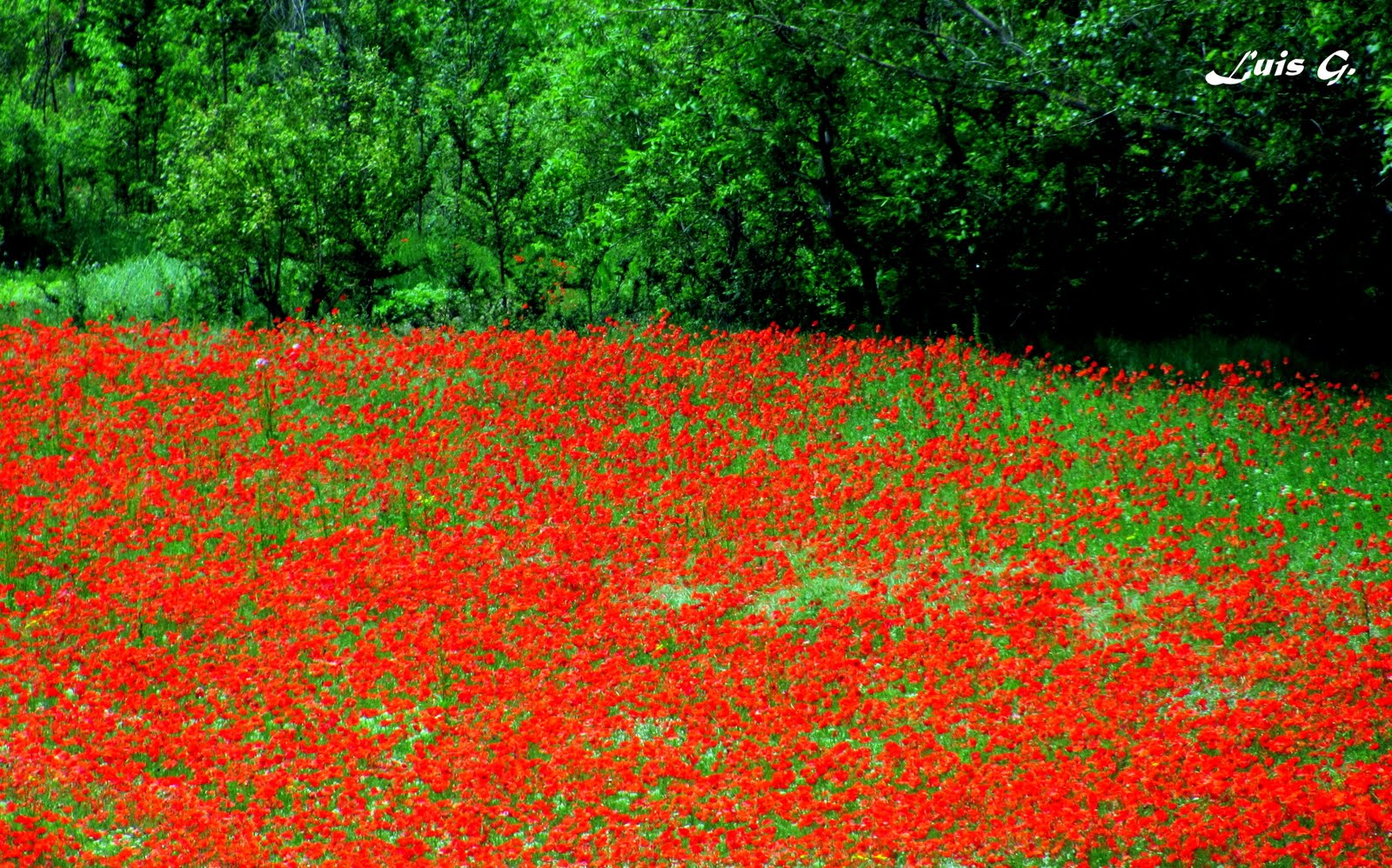 UN SOÑADOR POR LAS CUMBRES: La canción de un río: El ARCOS