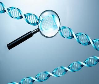 ALL ABOUT DNA: DNA PROFILING
