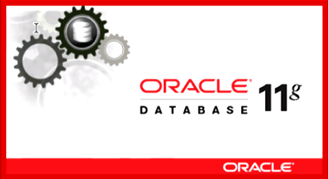 Oracle Database 11g Release 2 (11.2.0.1.0) for Microsoft Windows (x64 ...