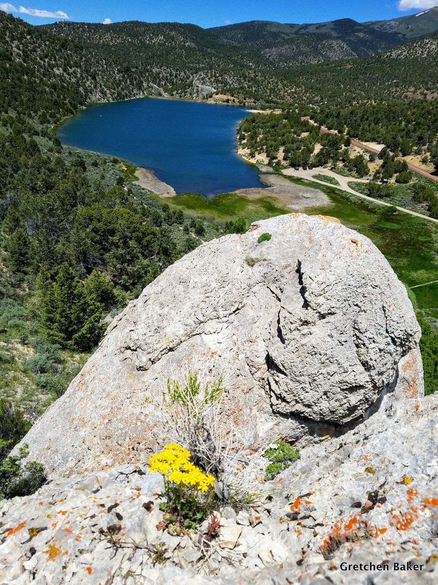Desert Survivor: Terrific Trails at Cave Lake State Park