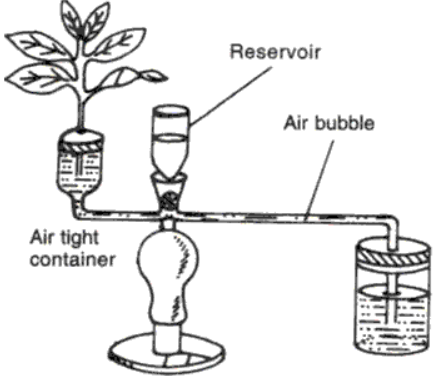 Frank Chapter 5 Transpiration ICSE Solutions Class 10 Biology