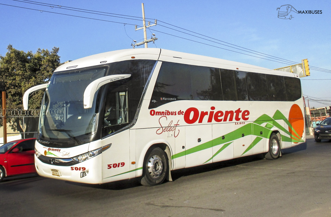 MAXIBUSES: OMNIBUS DE ORIENTE SELECT