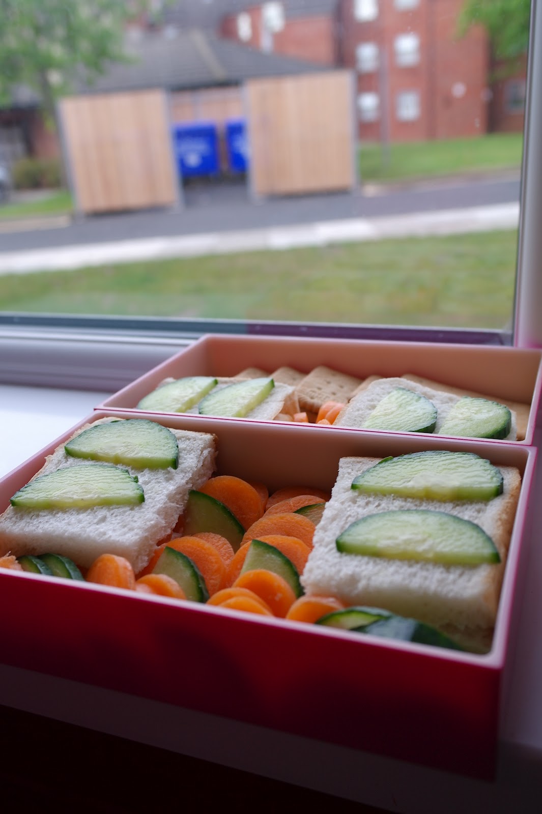 Young Passionate Baker: Bento Sandwiches