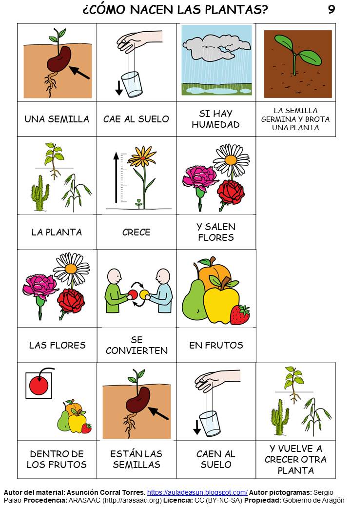 AUDICIÓN Y LENGUAJE: VOCABULARIO DE NATURALES: 2º EP Las plantas