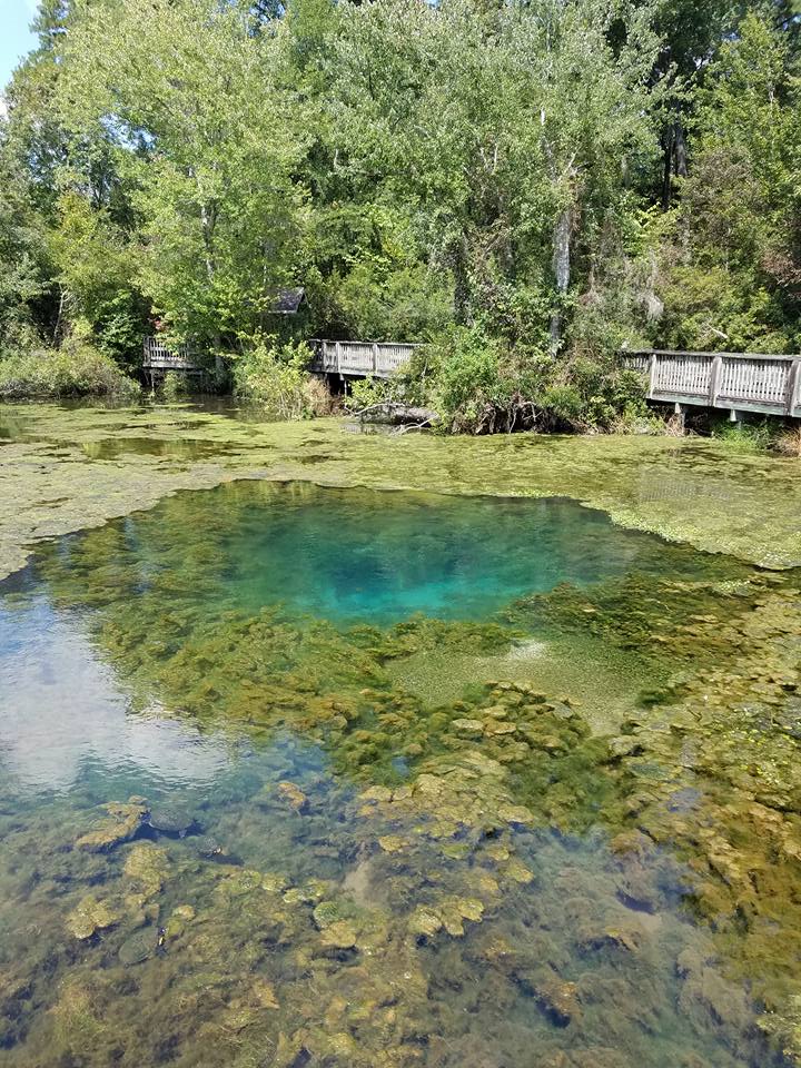 Another Mile Another Destination Blog: Magnolia Springs State Park ...