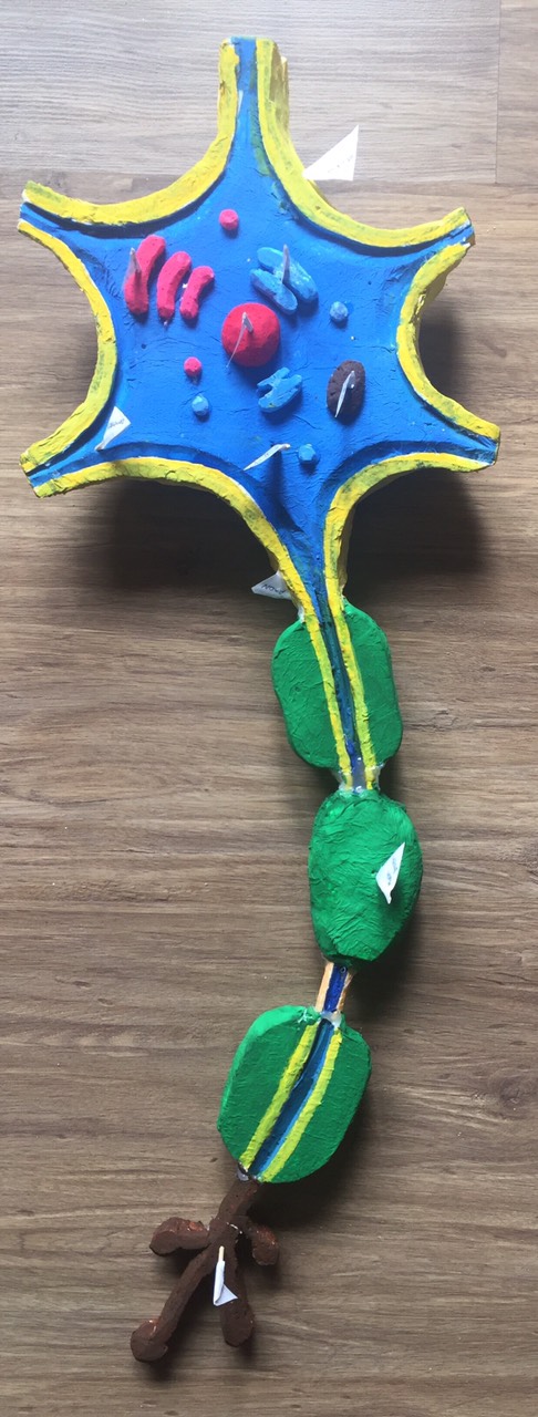 Best 3D Model Projects