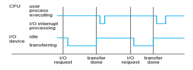 Operating System : Organization - SciComp