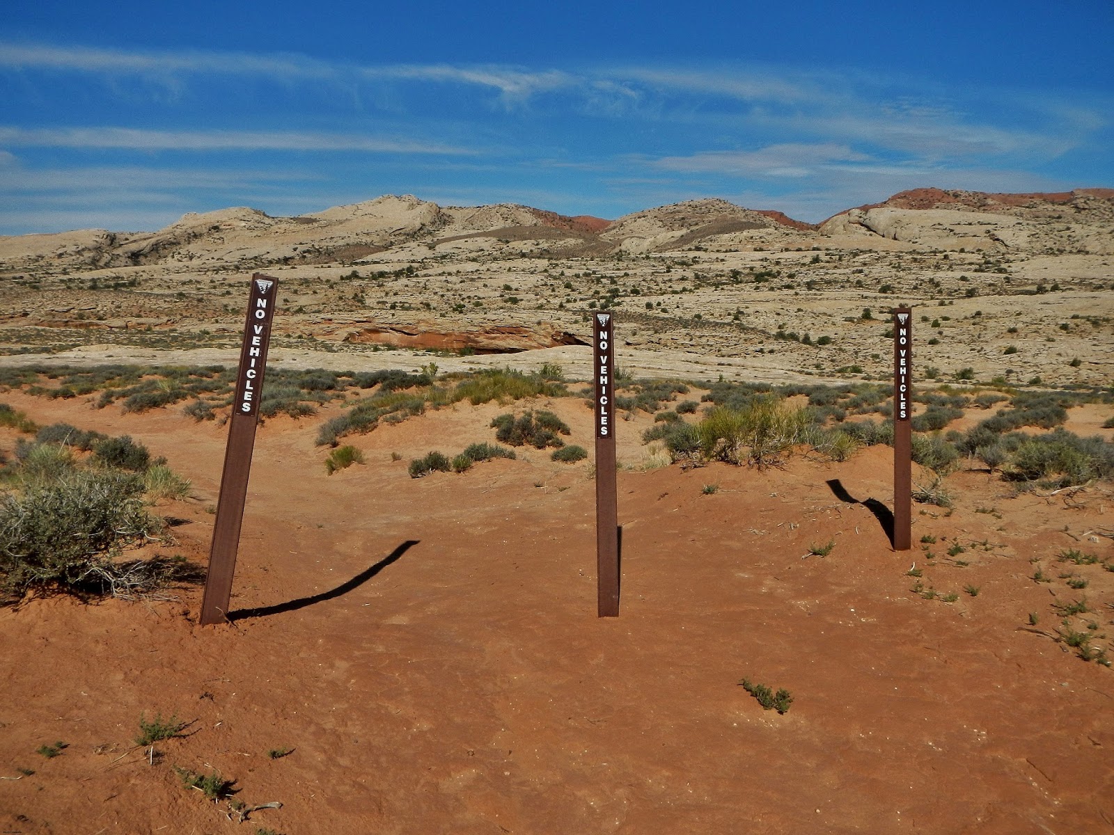 The Southwest Through Wide Brown Eyes: Wolfman Panel and Ruins - Comb ...