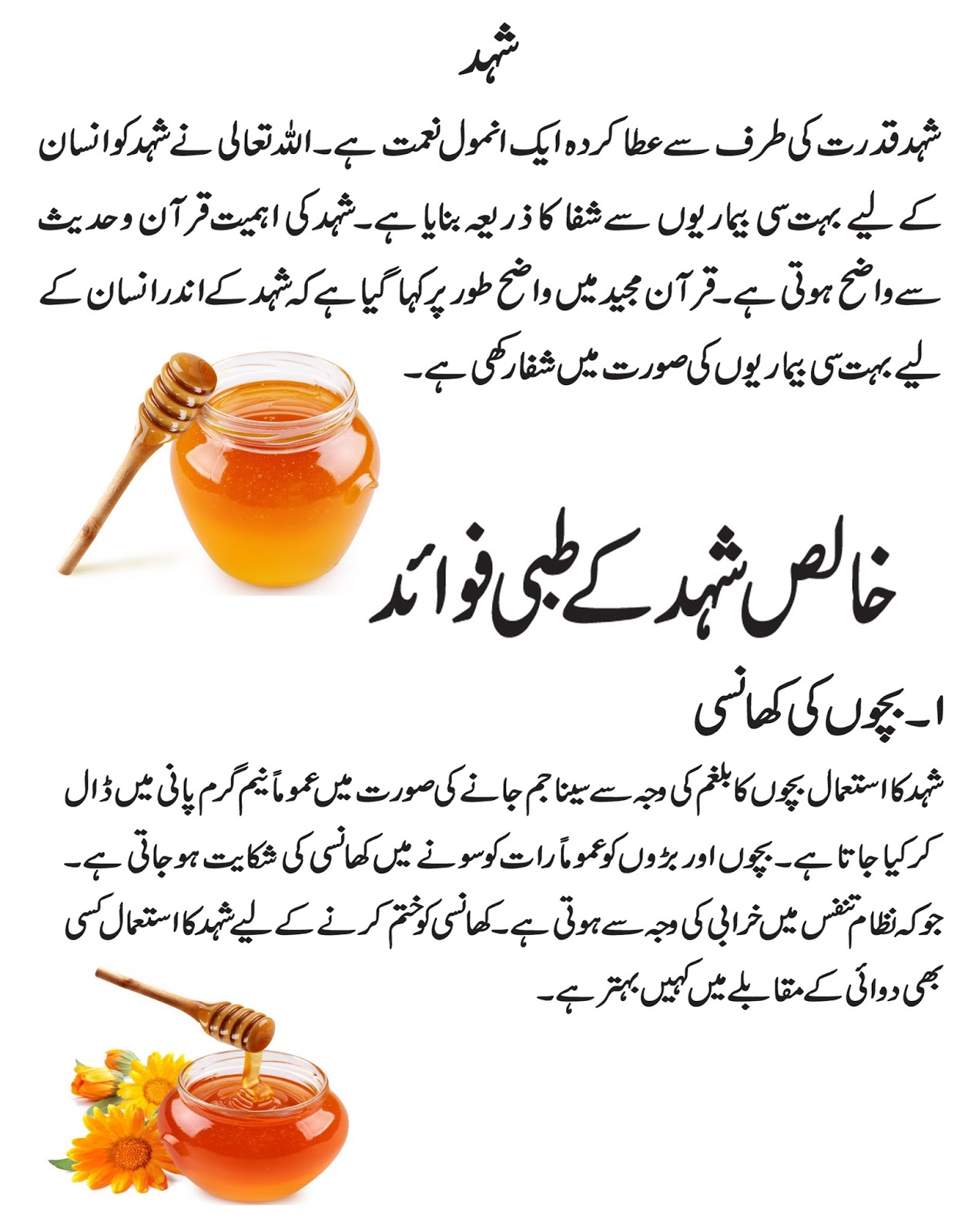 Health Benefits Of Honey In Urdu Badsha Health Tips In Urdu health-benefits-of-honey-in-urdu-badsha-health-tips-in-urdu