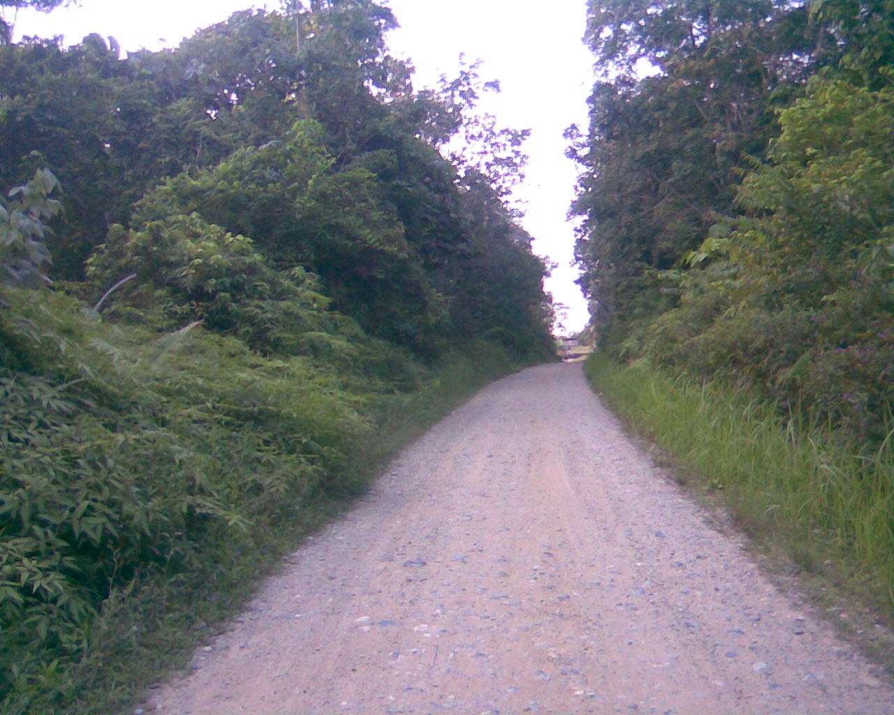 UPTD-BBI Sungai Alai