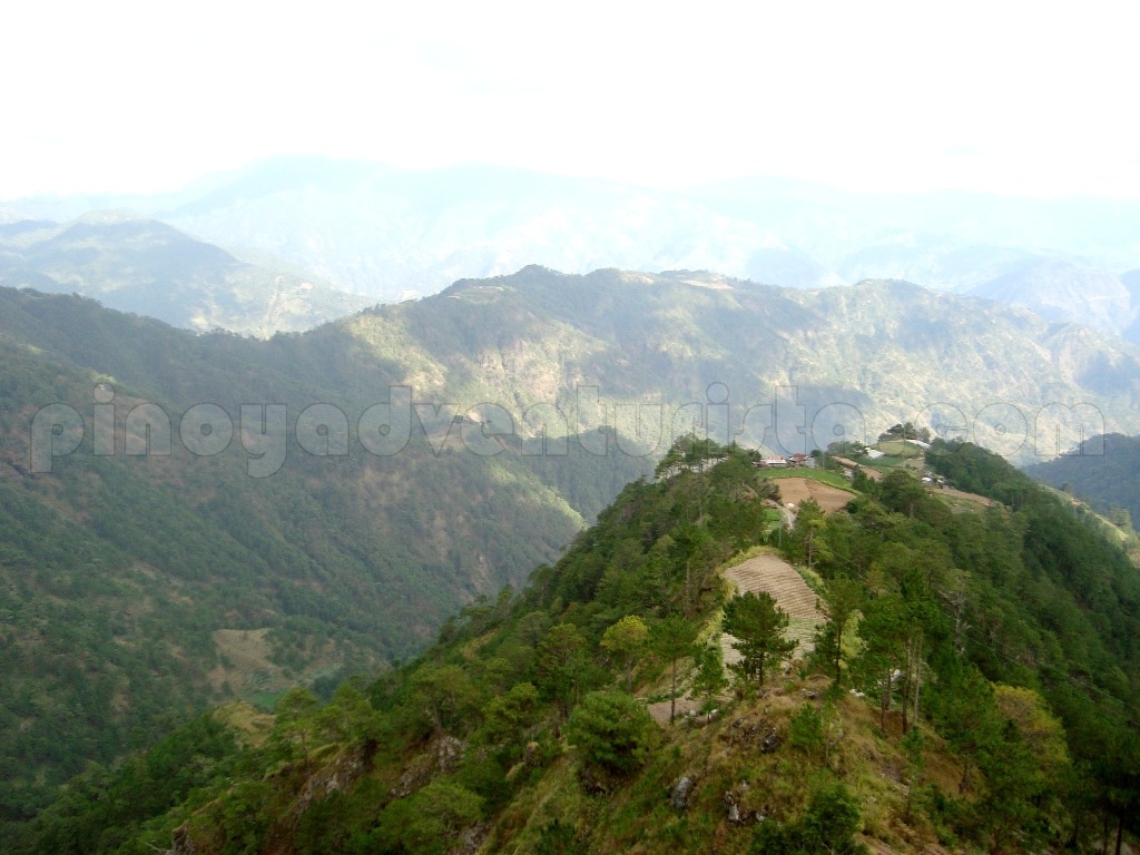 Benguet - A Quick Stopover at the Halsema Highroad Point, the Highest ...