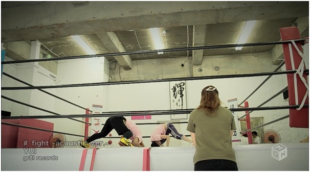 HANA Place: YUI - Fight (new single)