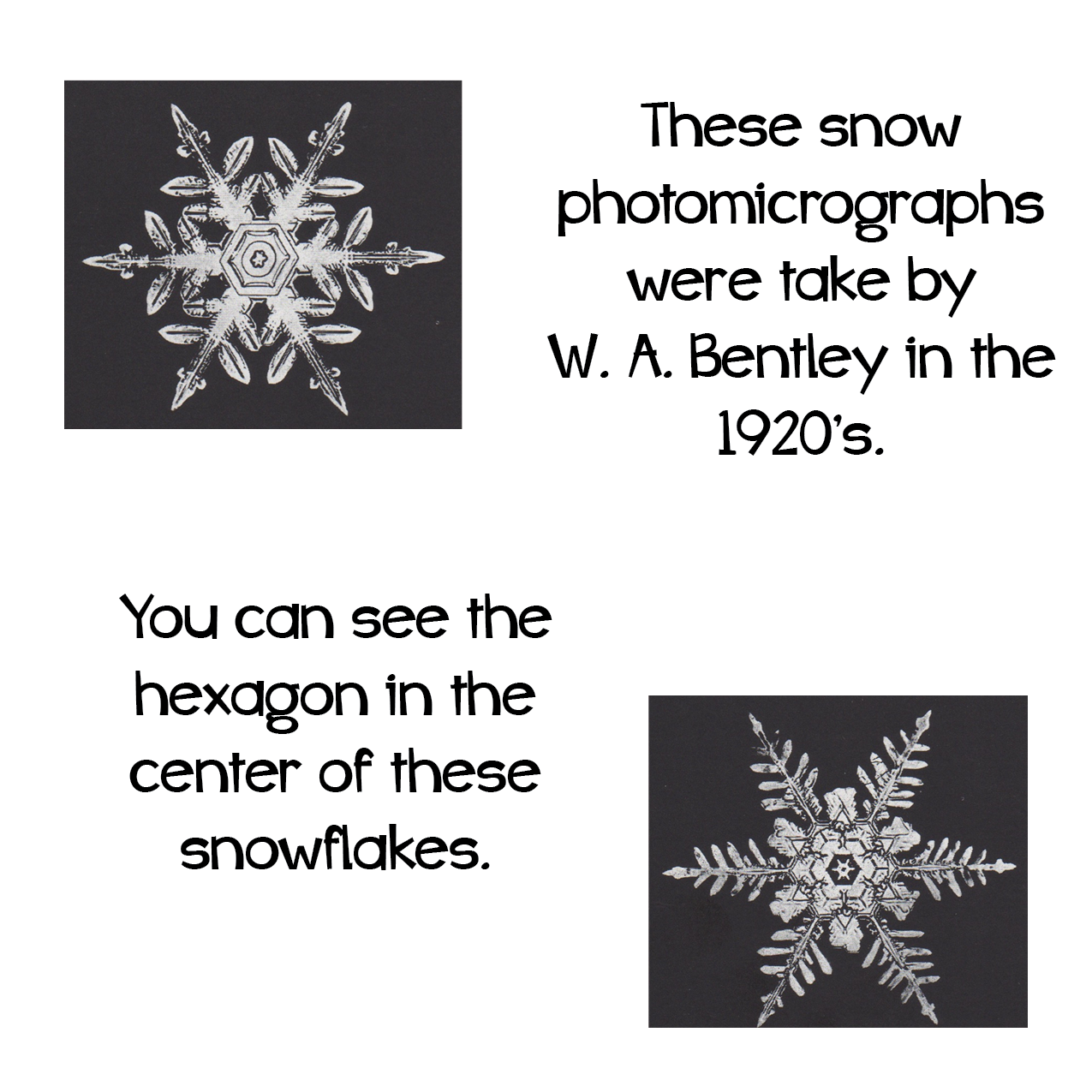 The Science Art Of Snowflakes Expressive Monkey The Science Art Of Snowflakes Expressive Monkey